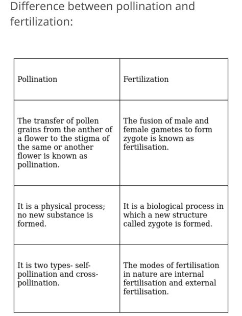 Explain The Difference Between Pollination And Fertilization