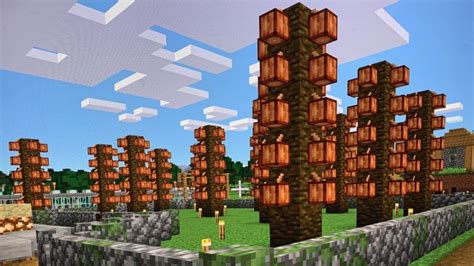 How To Use Cocoa Beans In Minecraft Olgamer