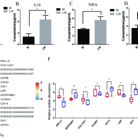 Quantification Of Cytokine And Protein Expression Abundance A D Download Scientific Diagram