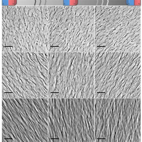 Sequential Frames Taken From The Movies 1 2 And 3 Showing The Motion