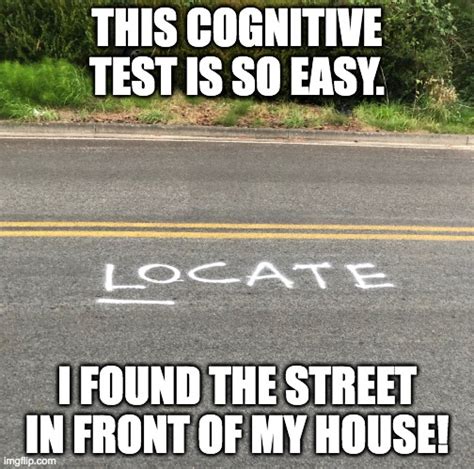 Cognitive Capacity Memes