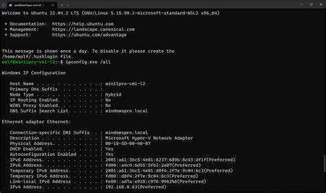 wsl start linux apps in windows and windows apps in linux access ext4