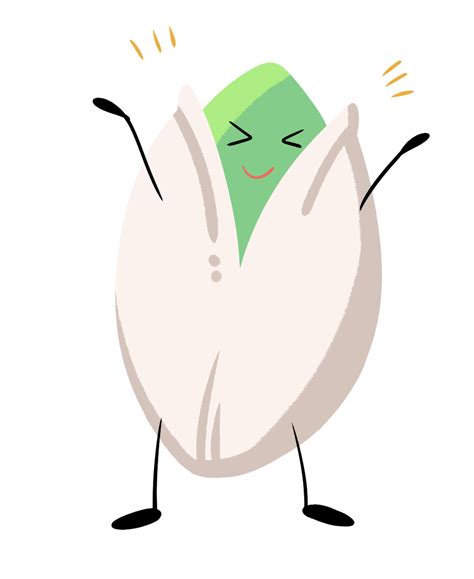 一枚开心果 今日桐乡