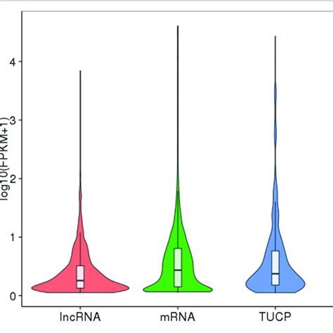 Exon Distribution Of Transcripts Download Scientific Diagram