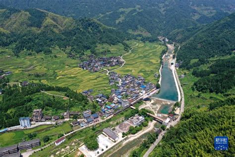 粤桂协作 助力乡村振兴中国经济网——国家经济门户
