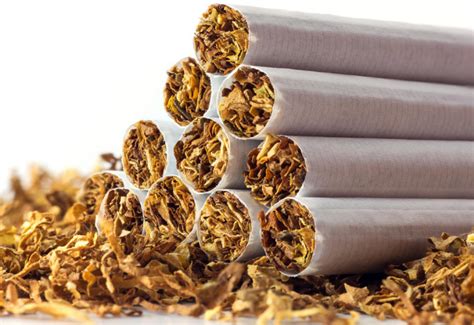 烟碱成套提取设备企鹅粮油机械是良好的选择 榨油机厂家 郑州企鹅粮油机械有限公司