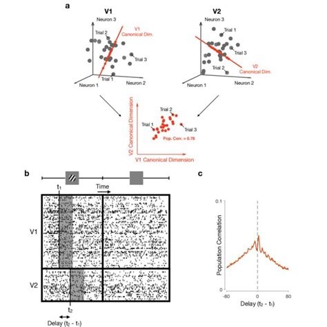Using Canonical Correlation Analysis Cca To Capture Population