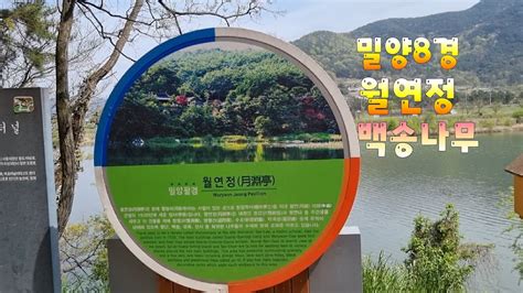 힐링여행 밀양 월연정 밀양8경 월연정 백송나무 날좀보소 밀양아리랑 보이소 오이소 healing tour YouTube