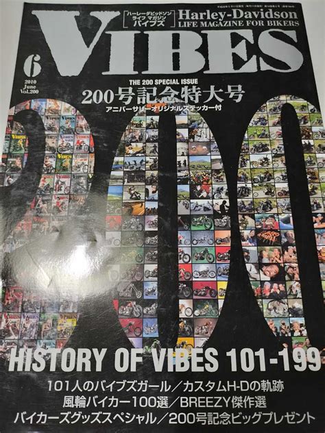 【目立った傷や汚れなし】vibes バイブズ 2010年 6月 Vol 200 200号記念特大号 101人のバイブズガール10ページ