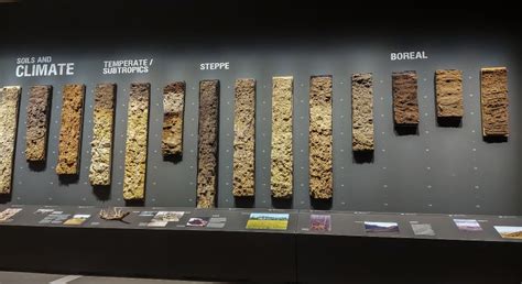 Stephan Mantel Posted On Linkedin