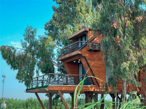 یک خوابه درختی دهکده کلبه در بهشهر جاباما