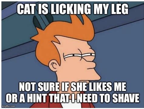 Female Problems Album On Imgur