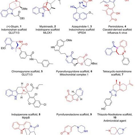 Examples Of Pseudo Natural Product Scaffolds Red And Blue Colours Download Scientific Diagram