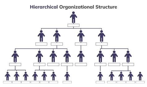 7 Types Of Organizational Structures With Examples 7 Types Of Organizational Structures With Examples