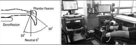 Ankle Plantar Flexion Dorsiflexion Range Of Motion And Prone Position