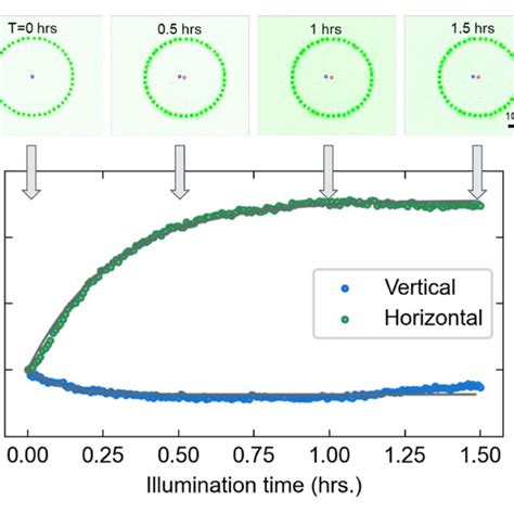 measured thermal drifts of a polarization switchable ring array with