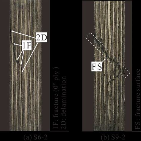 Compression Failure Modes Of Specimens Observed From The Side A Compression Failure Modes Of Specimens Observed From The Side A