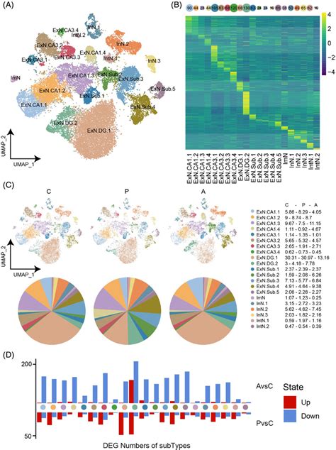 Subtypes Identification Of The Major Cell Types A Tsne Plot Of 21