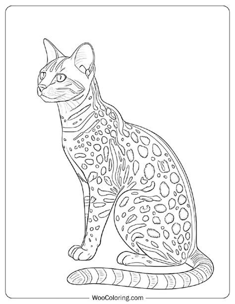 Cat Coloring Pages Realistic Cat 2025 Cat Coloring Pages Realistic Cat 2025