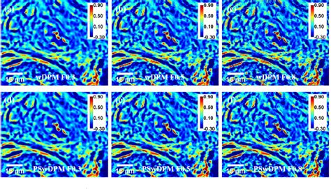 Figure 4 From White Light Diffraction Phase Microscopy At Doubled Space Bandwidth Product