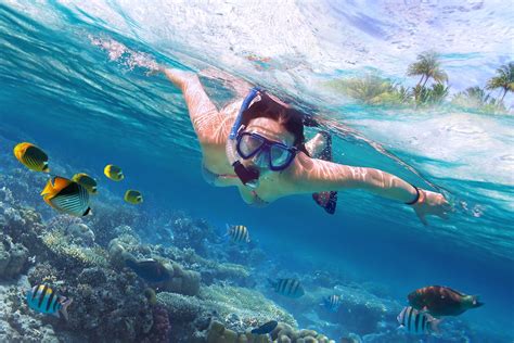 Beautiful Women Snorkeling In The Tropical Sea Yacht Charter