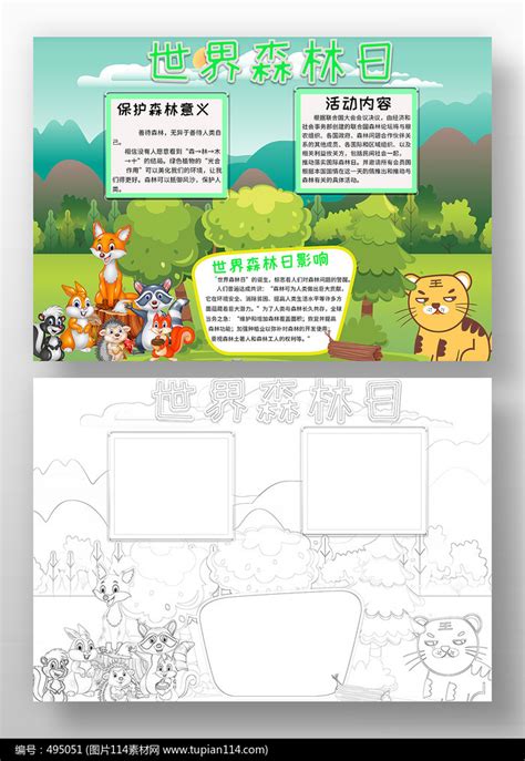 世界森林日小报图片114