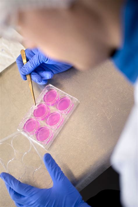 Biocompatibility Iso 10993 Testing Cormica Global Medical Device