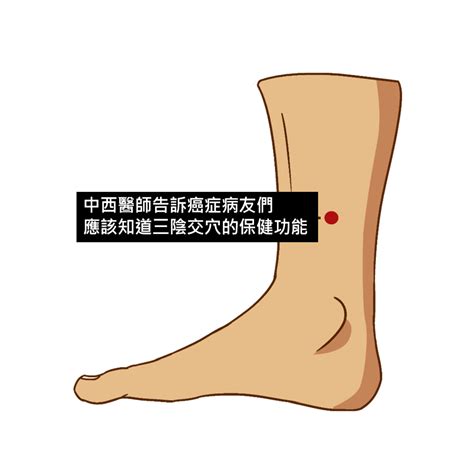 Darolutamide安列康將成為轉移性荷爾蒙敏感型攝護腺癌的新標準治療 陳駿逸醫師 與你癌歸於好