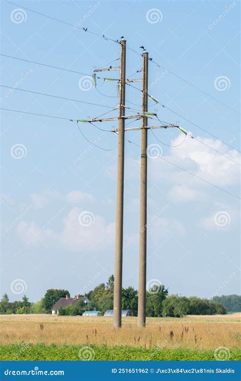 High Voltage Power Lines In Wheat Field Meadow And Blue Sky Background