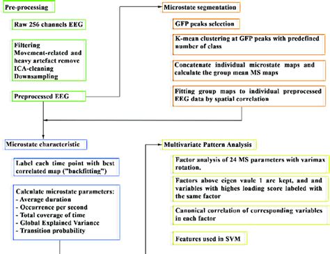 Pipelines Of Pre Processing Microstate Segmentation Microstate