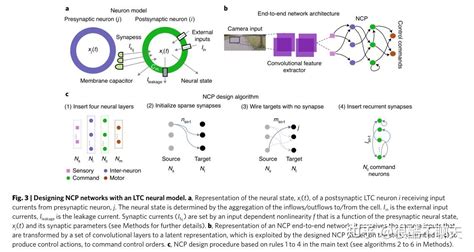 【论文笔记】neural Circuit Policies Enabling Auditable Autonomy 知乎