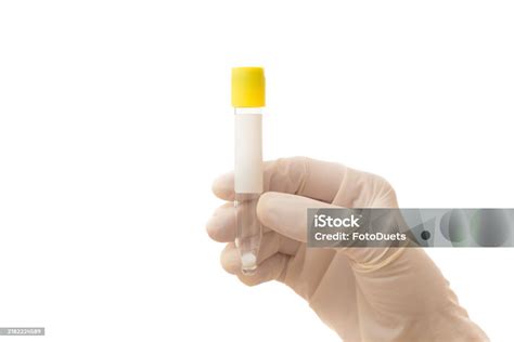 흰색 고무 보호 장갑을 낀 의사는 소변 또는 흰색 배경에 격리 된 기타 분석 테스트를위한 빈 투명 플라스틱 튜브를 들고 있습니다