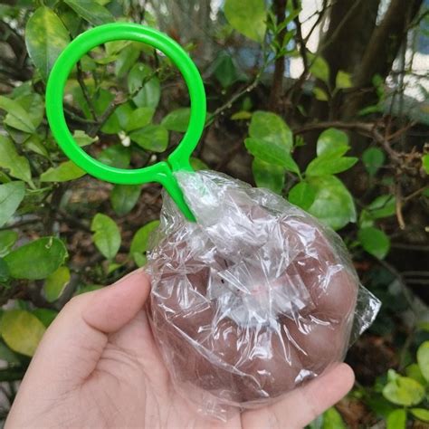 Mochi Donut Squishy Hobbies And Toys Toys And Games On Carousell