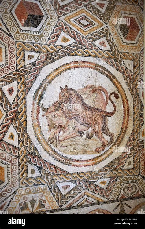 Picture Of A Geometric Roman Mosaics Design Depicting Lions Hunting