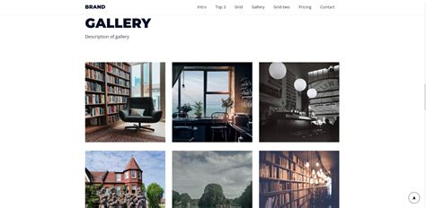 GitHub Ranieri Vahl Landing Page