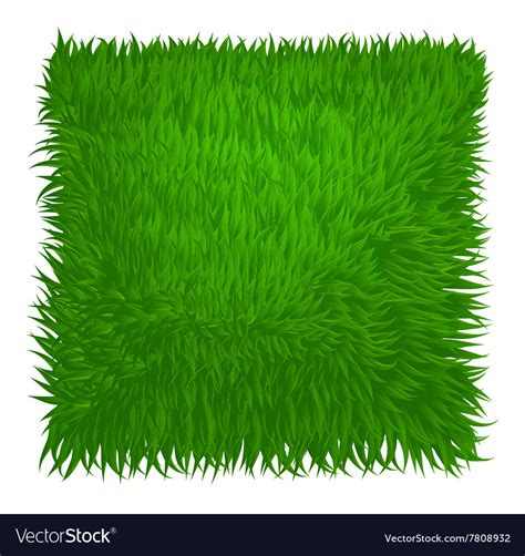Green Grass Texture Royalty Free Vector Image Vectorstock