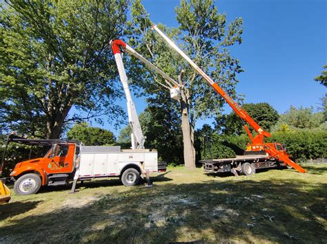 Gallery Chatham Tree Removal