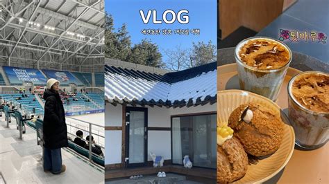 🐶vlog11 반려견과 함께한 강릉 1박2일 겨울여행 유스동계올림픽 설송하녹 강릉 애견동반 독채펜션 삼우