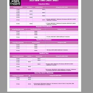 2023 E M Time Based Coding Cheat Sheet In Bubblegum Etsy