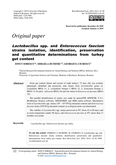 Pdf Lactobacillus Spp And Enterococcus Faecium Strains Isolation Identification