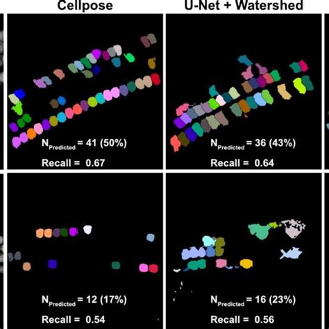 Example Segmentation Outcomes Of Three Different Segmentation Methods Download Scientific