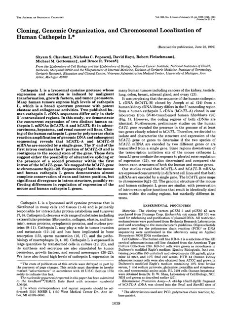 Pdf Cloning Genomic Organization And Chromosomal Localization Of