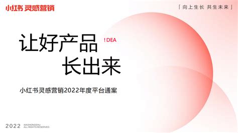 小红书灵感营销平台通案133P 爱运营