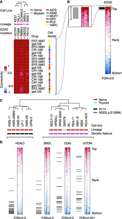 Connectivity Query And Perturbation Set Analysis Of A Diverse Set Of