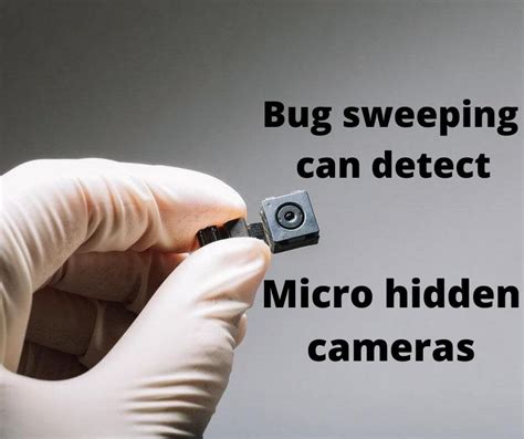 Business Bug Sweep Indiebim Tscmin