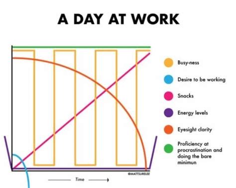 40 Funny Charts And Absurd Infographics That Are Almost Completely Useless