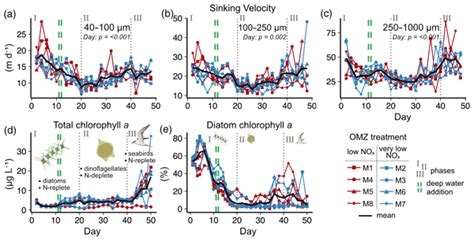 Bg Drivers Of Particle Sinking Velocities In The Peruvian Upwelling