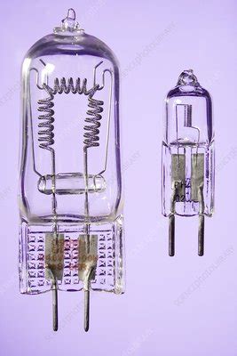 Tungsten Halogen Lamps Stock Image C004 7666 Science Photo Library