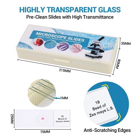 60pcs Microscope Slides Prepared Microscope Slides With Specimens For Lakwar