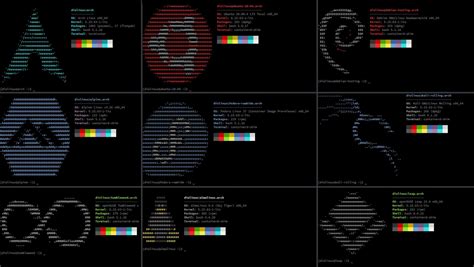 Distrobox Como Configurar E Instalar Suas Primeiras Distros Diolinux